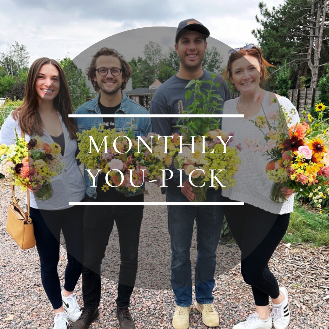 Colorado farmer florist selling sustainably grown flowers