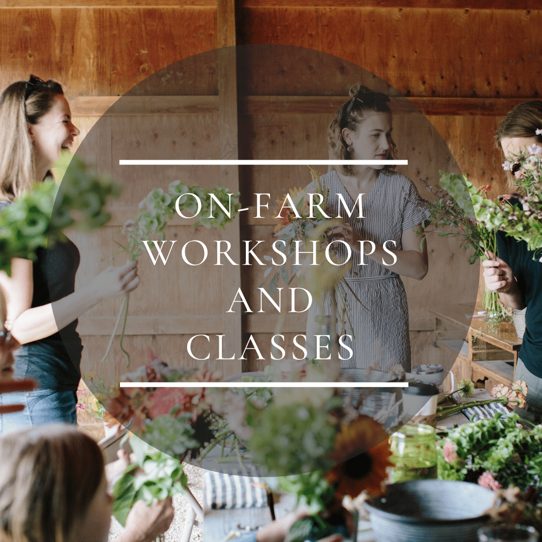 Colorado farmer florist selling sustainably grown flowers
